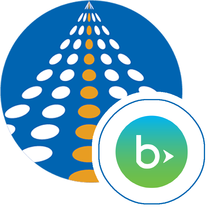 Blackbaud SSIS REST Connection. COZYROC SSIS+ suite - Visual Studio ...