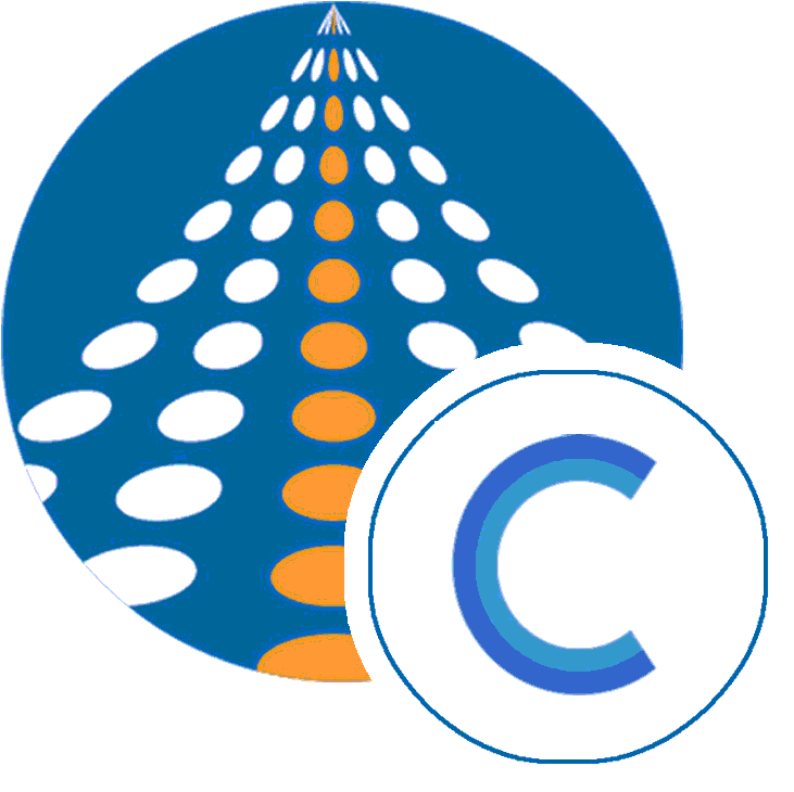 Dayforce SSIS connection | COZYROC SSIS+ components suite - Visual ...